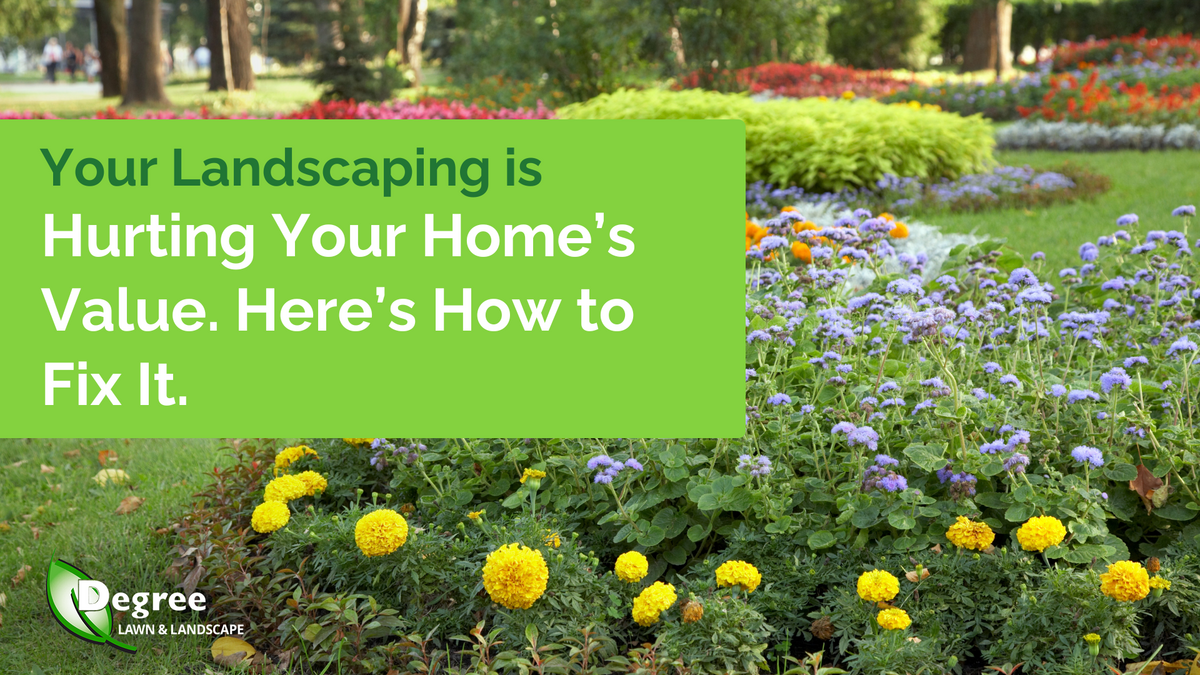 Your Landscaping Is Hurting Your Home's Value. Here's How to Fix It.